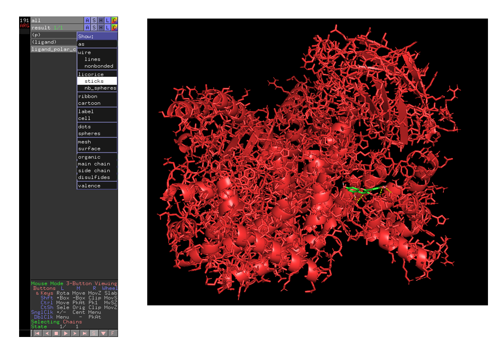 PyMOL可视化对接结果 - 知乎