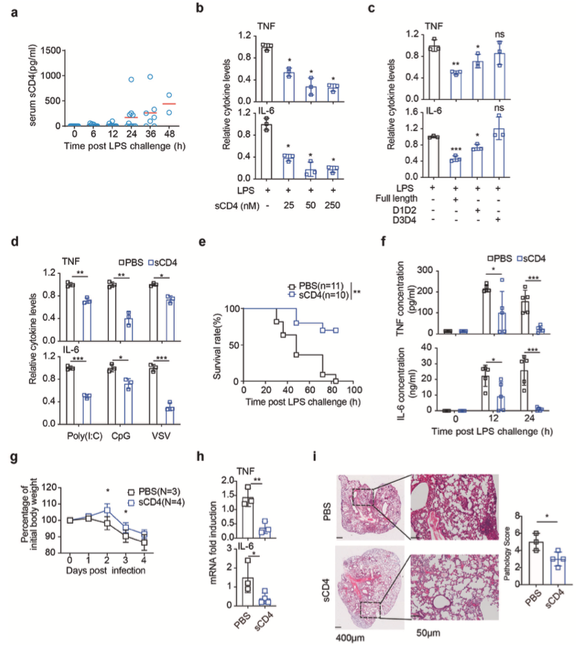 STTT丨IF：39.3丨可溶性 CD4 可有效防止脓毒症常驻巨噬细胞的 TLR 过度激活 - 知乎