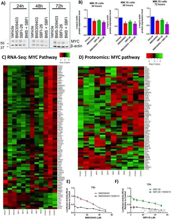 eLife | 靶向脂肪酸结合蛋白破坏多发性骨髓瘤细胞周期进程和MYC信号 - 知乎