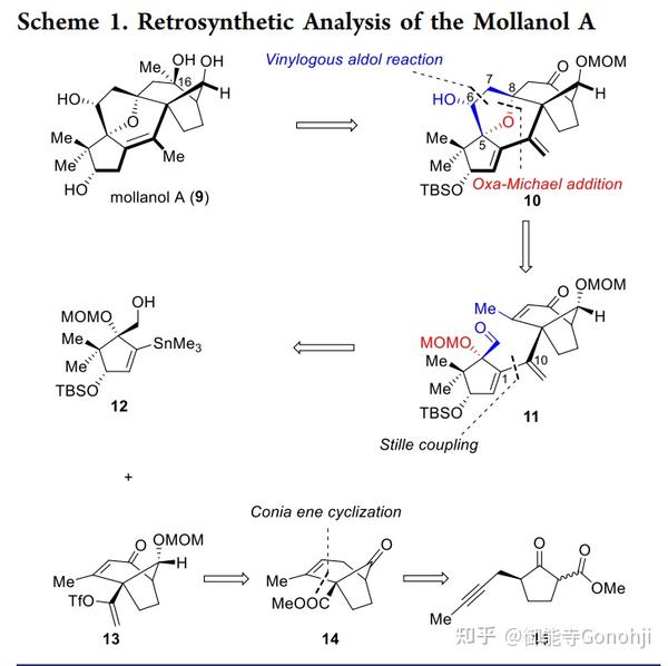 木藜芦烷类毒素Mollanol A的首次全合成 - 知乎
