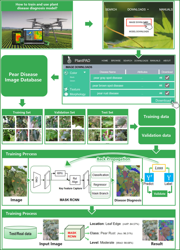 PlantPAD：大规模的植物科学疾病图像表型分析平台 - 知乎