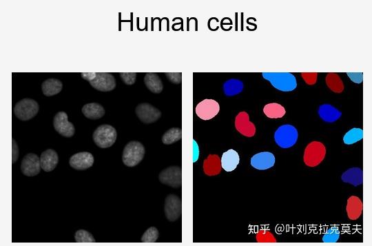 开源科学工程技术软件介绍59 – 细胞图像分析软件CellProfiler - 知乎