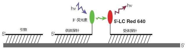 IVD技术｜MLPA法介绍 - 知乎