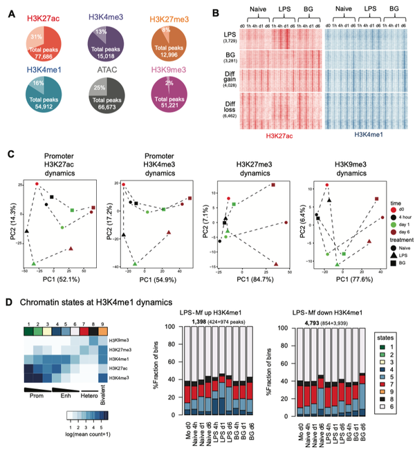 Cell丨β-葡聚糖逆转了LPS诱导的免疫耐受的表观遗传状态 - 知乎