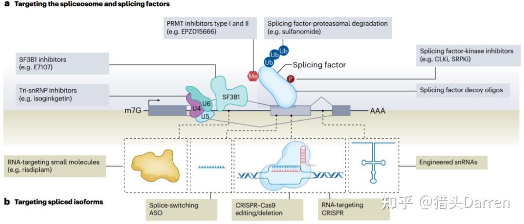 RNA剪接失调与癌症 - 知乎