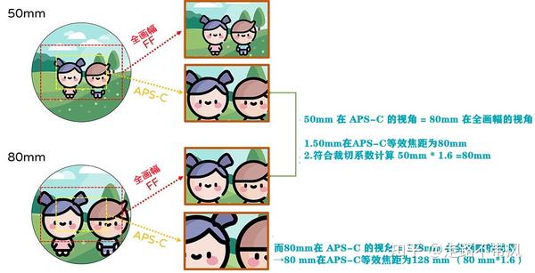 摄影新手入门：全画幅、APS-C、M43是什么？3分钟搞懂相机的感光元件 - 知乎