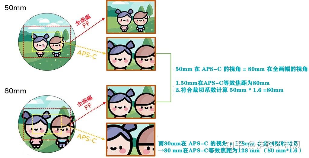 摄影新手入门：全画幅、APS-C、M43是什么？3分钟搞懂相机的感光元件 - 知乎
