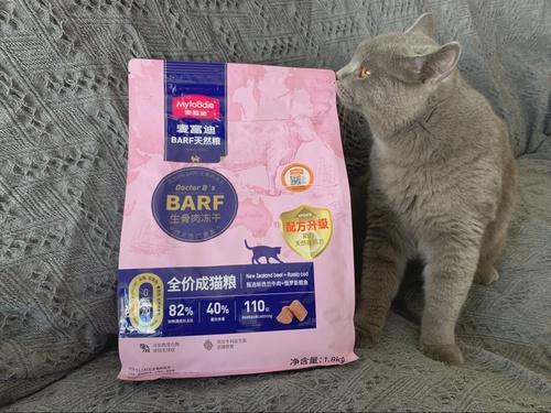 给猫喝酒会怎样:给猫喝酒会有什么反应 知乎