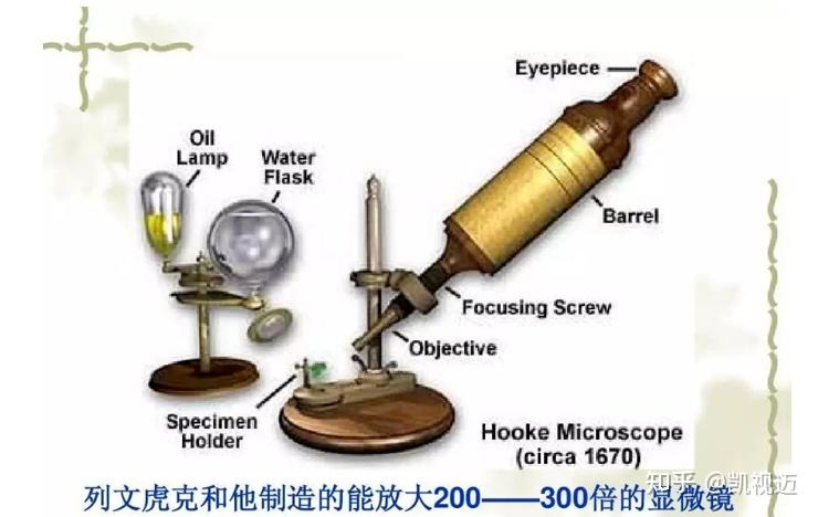 万字解读显微镜发展史 | 从古罗马到现代显微镜技术革命 - 知乎
