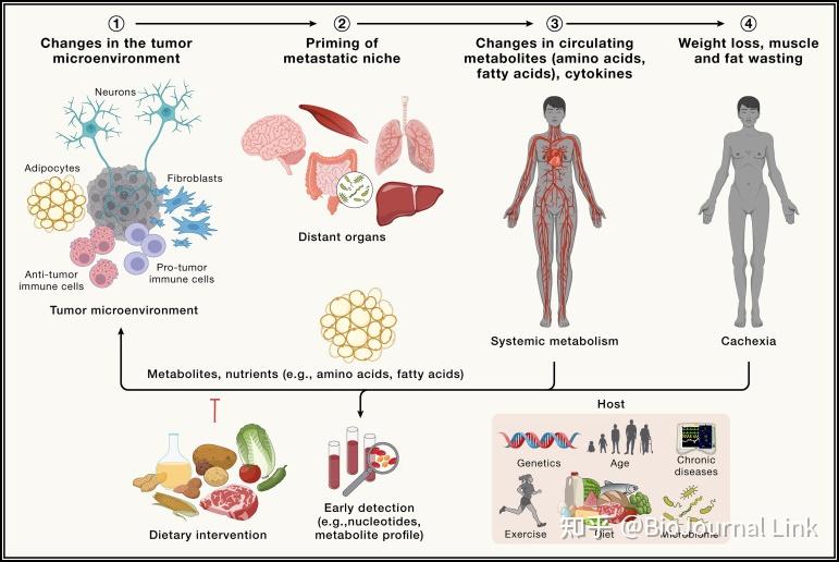Cell 10年 | 拥抱癌症的复杂性：系统性疾病的特点 | 文章精选 - 知乎
