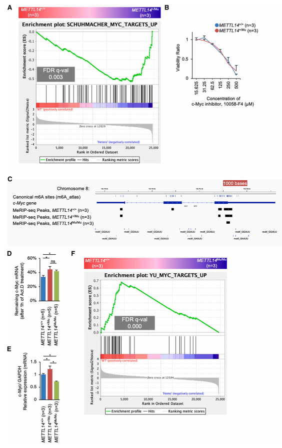 Cell Reports | 揭开METTL14在介导m6A修饰中的神秘面纱 - 知乎