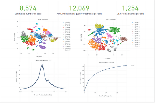 重磅升级 | 单细胞双组学ATAC+转录组实战经验展示 - 知乎