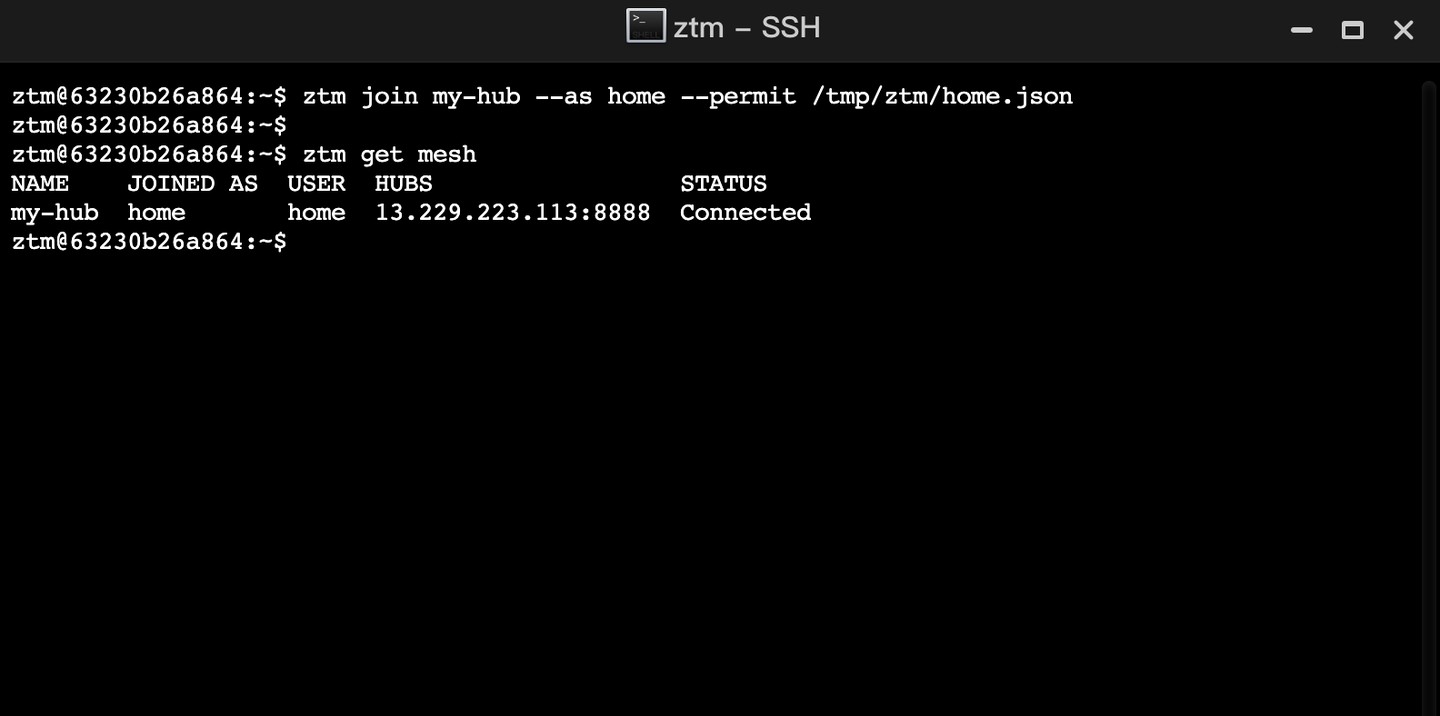 使用 ZTM 增强极空间 NAS 的远程访问能力 - 知乎
