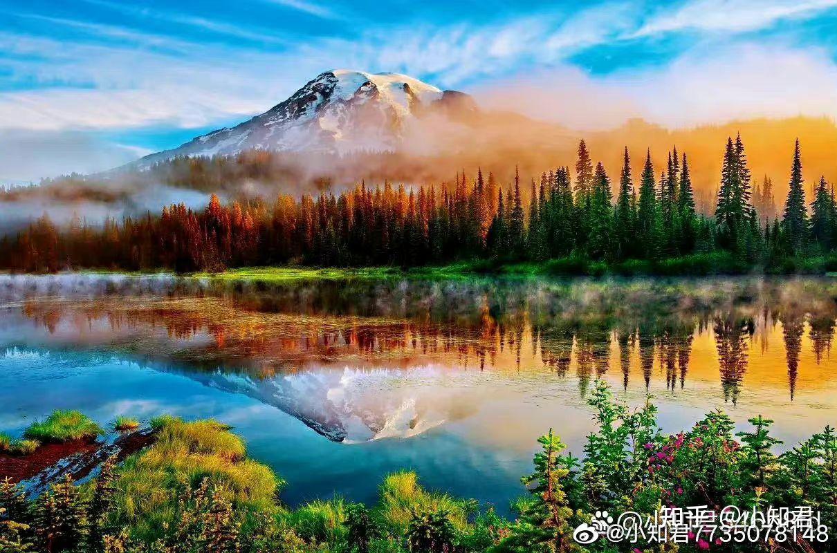 《子夜吴歌·玉露青花》 知乎