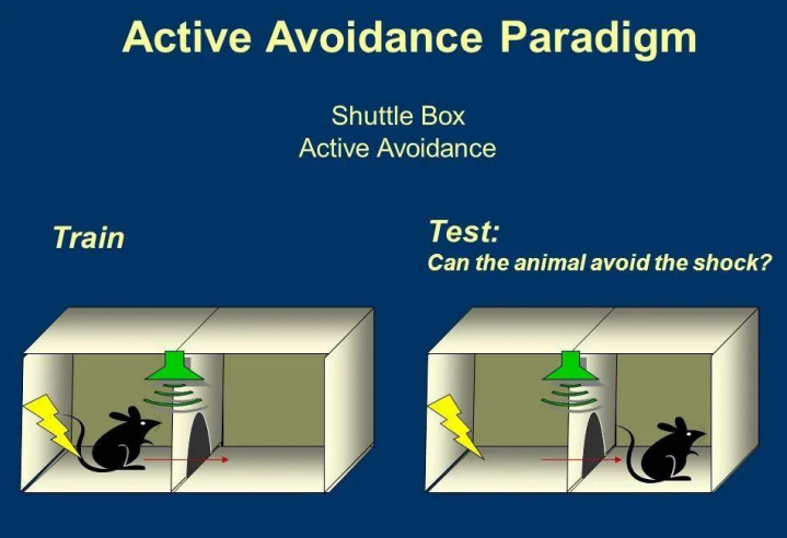 大小鼠穿梭 active avoidance（主被动回避）实验准则 - 知乎