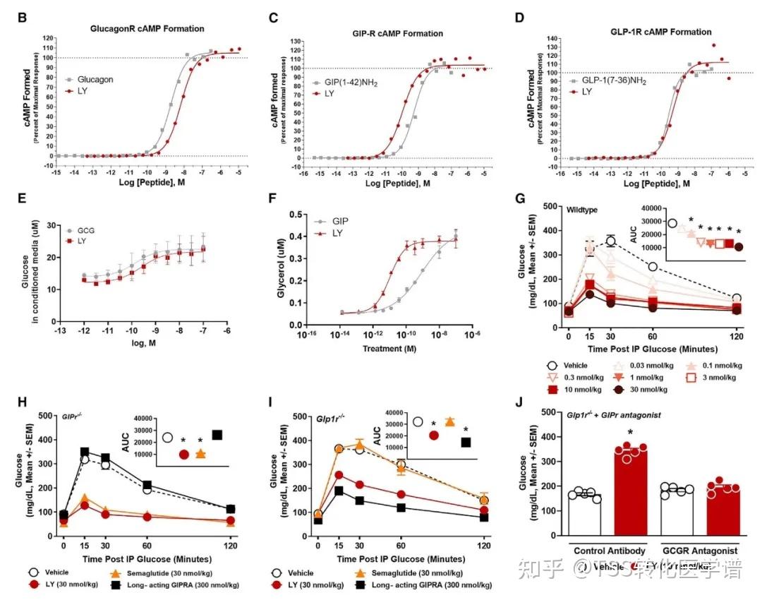 【Cell Metabolism】礼来 GCGR,GIPR, GLP-1R三重激动剂Retatrutide的分子开发 - 知乎