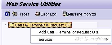 最详细的 SAP ABAP Web Service 创建和消费步骤讲解 - 知乎