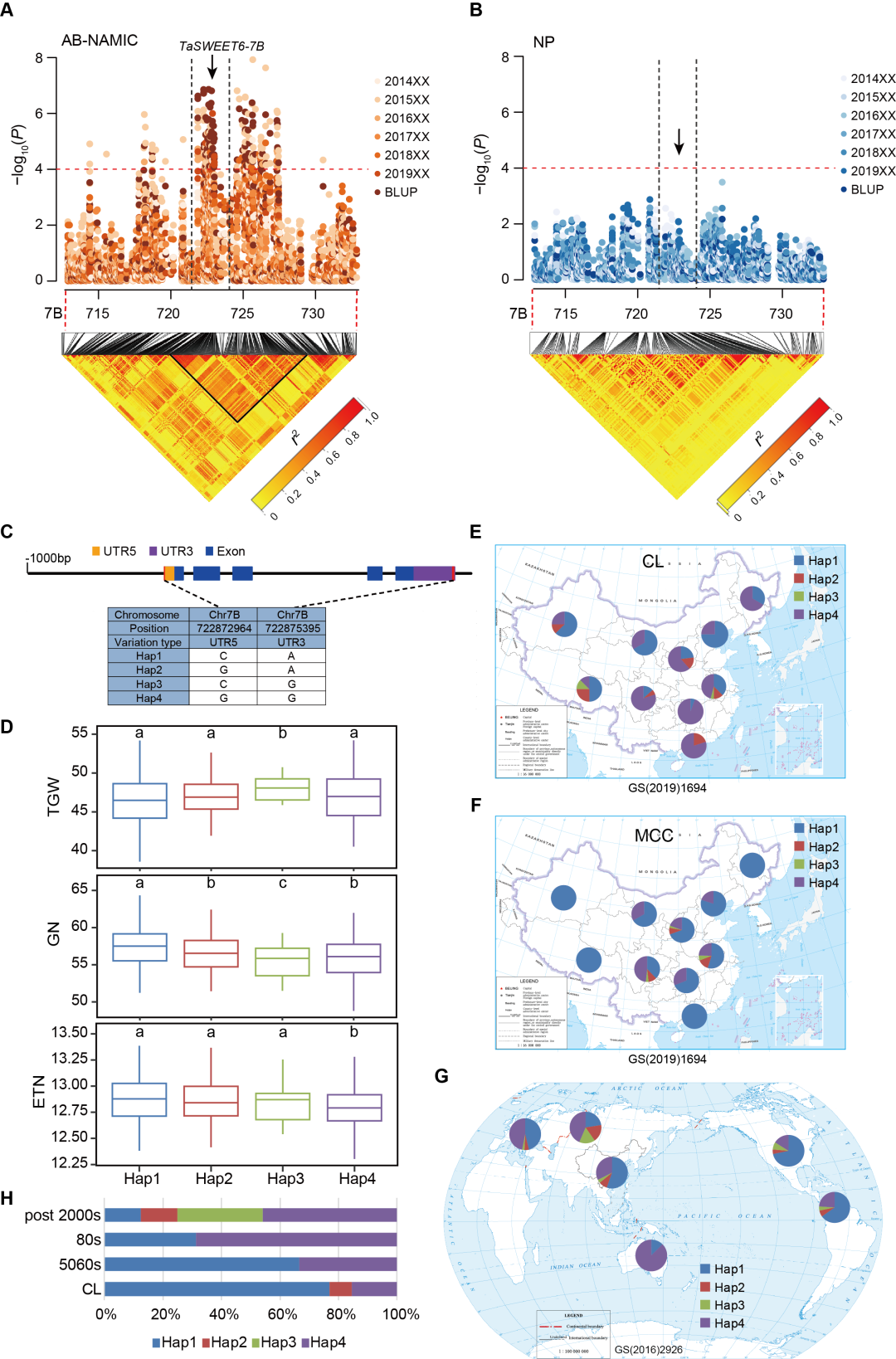 合作文章| 中国农科院作科所构建小麦AB-NAMIC群体为基因发掘与育种利用提供有力支撑 - 知乎
