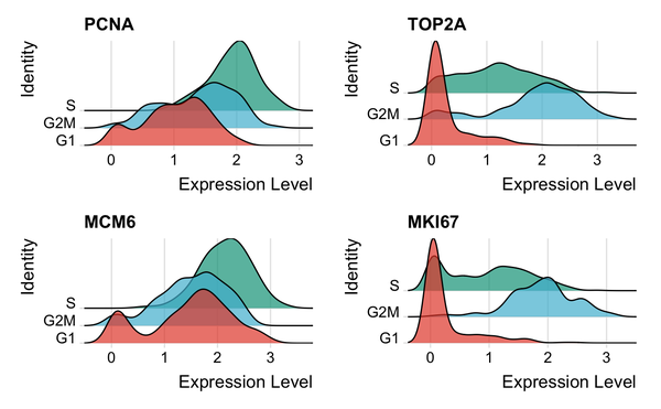 🤫 Seurat | 强烈建议收藏的单细胞分析标准流程（细胞周期的影响去除）（三） - 知乎