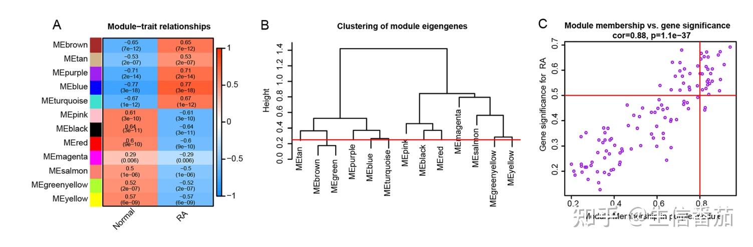 如何快速筛选关键基因？可以试试PPI网络 +WGCNA，外加免疫浸润分析，直接搞定4分+纯生信文章！ - 知乎