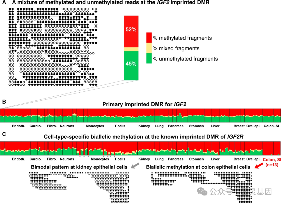 Nat Comm | 全面的等位基因特异性DNA甲基化图谱 - 知乎