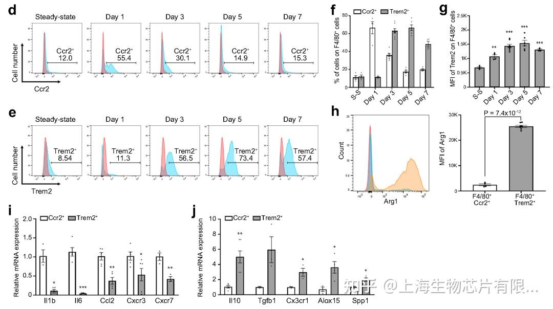 单细胞+空间转录组测序：揭示心肌梗死后巨噬细胞异质性的时空动力学和Trem2巨噬细胞的潜在功能 - 知乎