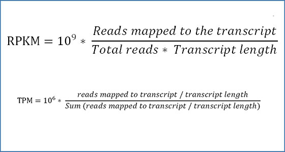 答读者问(6)：单细胞TPM矩阵如何分析？ - 知乎
