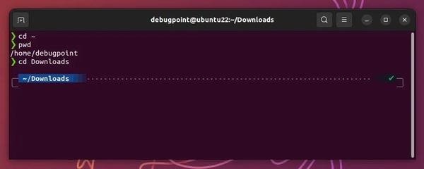 Oh My Zsh 和 Powerlevel10k：天作之合 | Linux 中国 - 知乎
