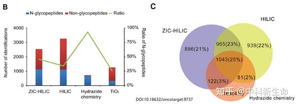 新品发布 | 完整N-糖肽：全方位、高准确的解析糖链和修饰位点 - 知乎
