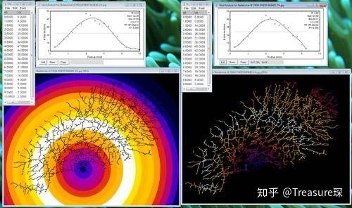ImageJ实用技巧——Sholl Analysis（二）(插件篇) - 知乎