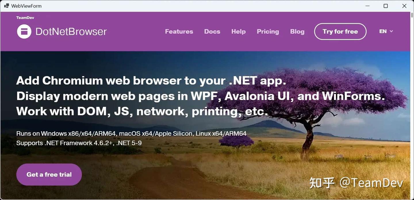 适用于 WinForms 的浏览器控件 - 知乎