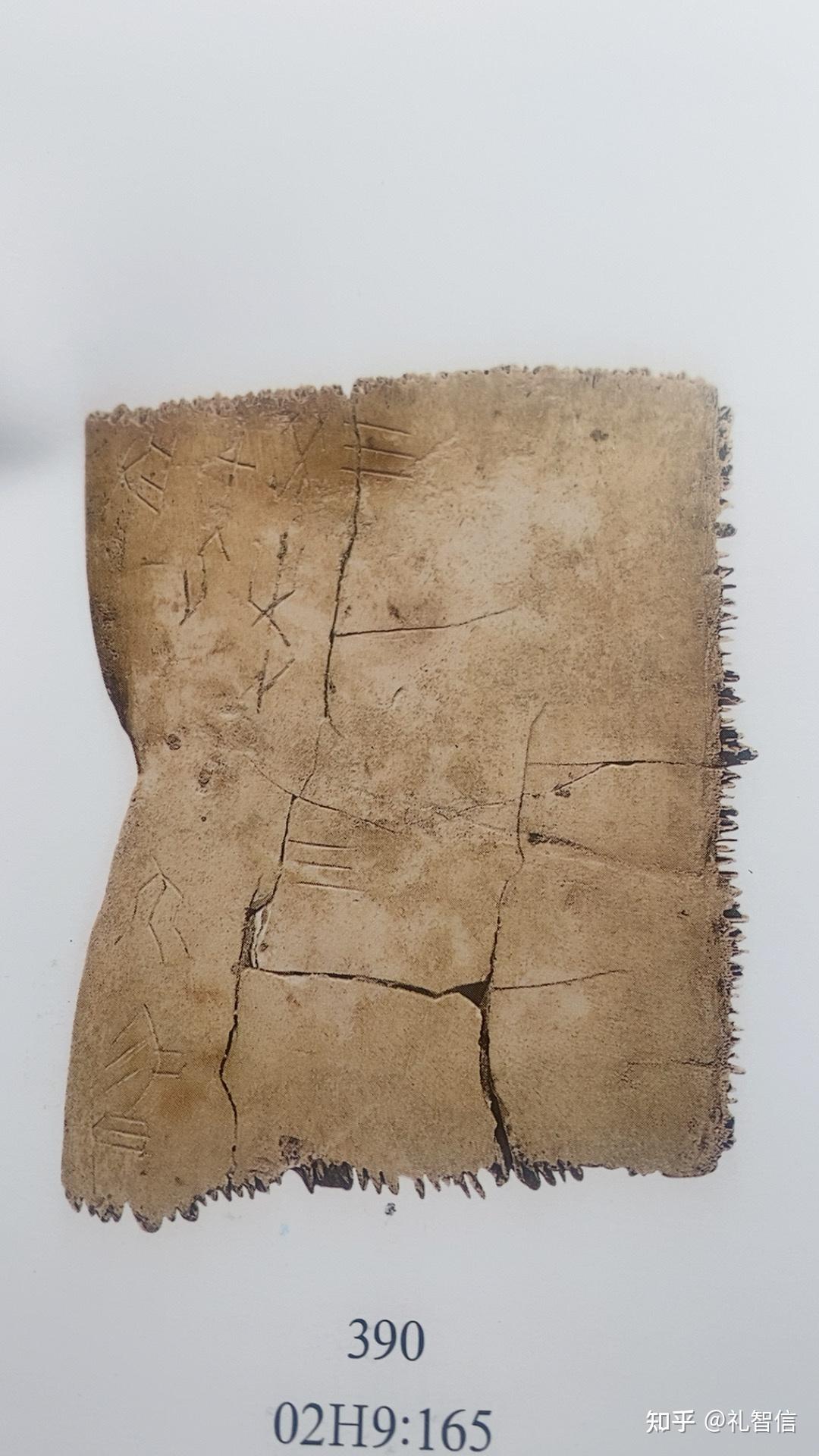 殷墟小屯村中村南390.391.392.393.394.395.396.397.398片甲骨释读： - 知乎