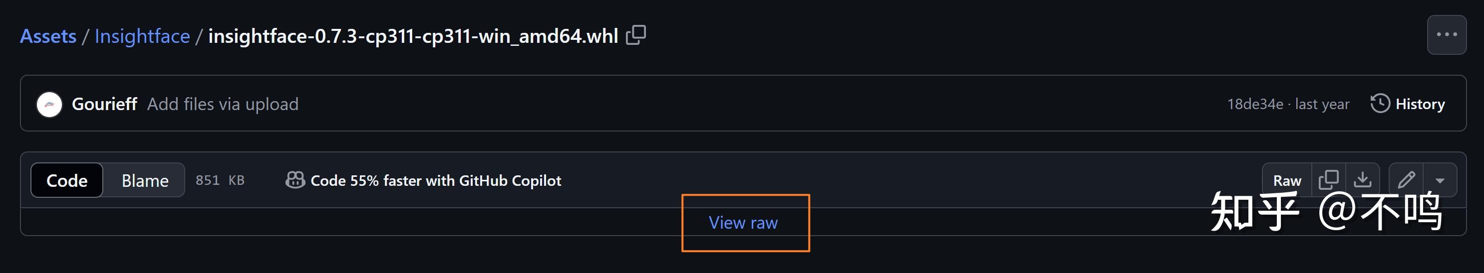 ComfyUI_Insightface等必要项安装 - 知乎