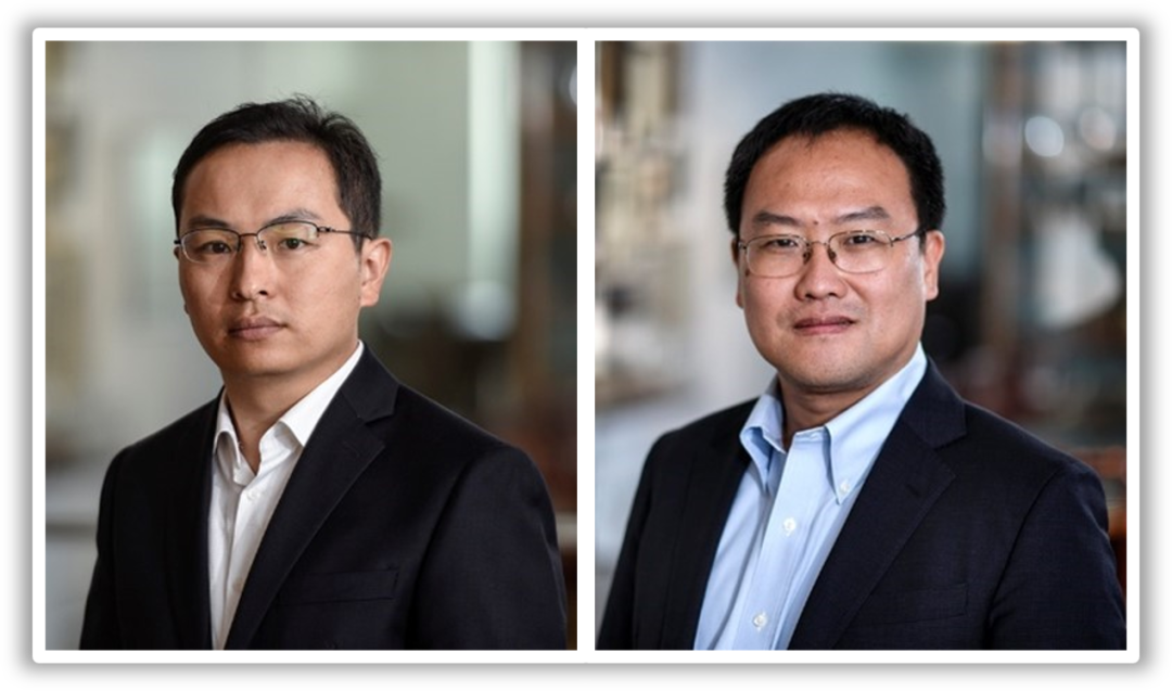 Cancer Discov︱张翔团队报道NG2+基质细胞在骨重塑和转移起始中的特殊作用 - 知乎