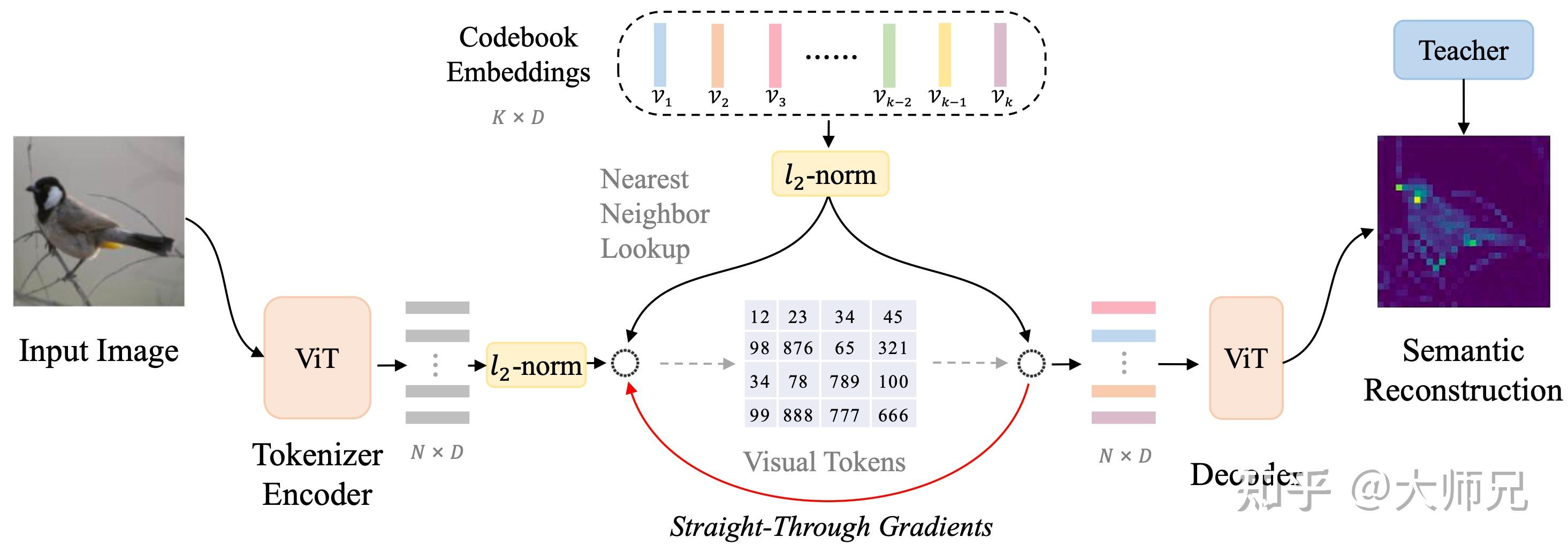 图像预训练：BEiT v2 - 知乎