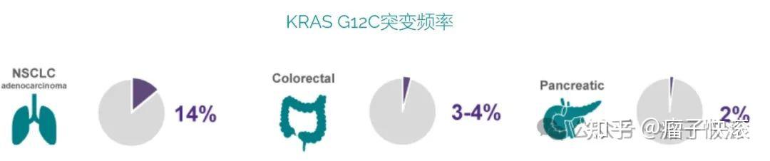 这几款KRAS G12D抑制剂值得关注：UA022、HRS-4642、RMC-9805 - 知乎