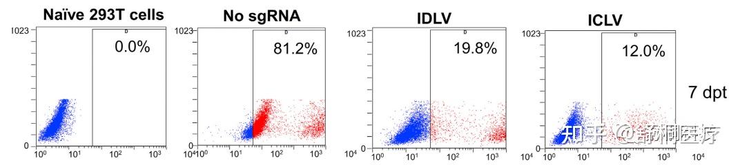 新型基因递送工具 | 非整合型慢病毒（IDLV） - 知乎