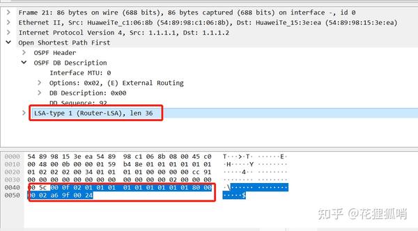OSPF报文格式 - 知乎