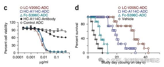 ADC| 从头解析Genetech的THIOMAB定点偶联ADC技术平台 - 知乎