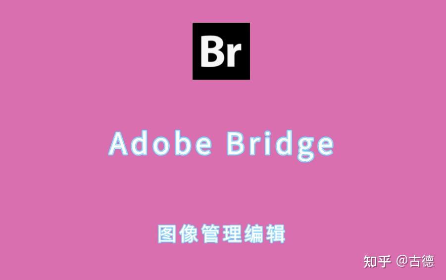 Adobe Bridge BR2025百度云网盘下载与安装教程指南 - 知乎