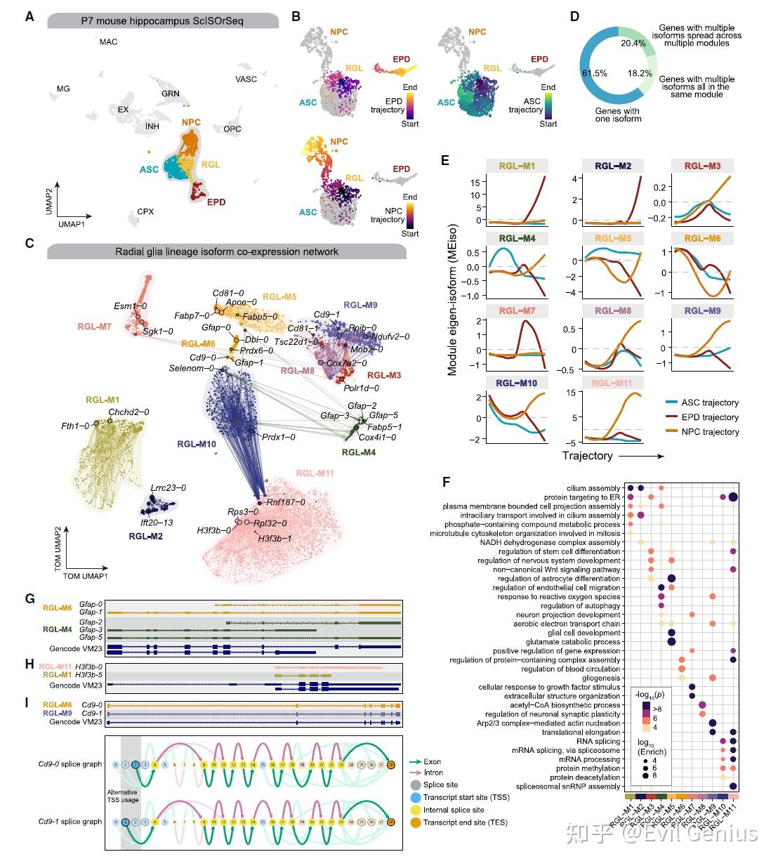 针对高维数据（10X单细胞空间）的共表达网络分析（hdWGCNA） - 知乎
