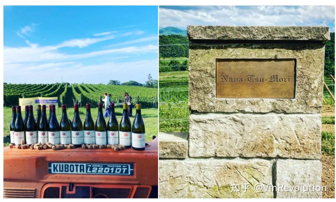 细数北海道葡萄酒的顶流们！远远不止Domaine Takahiko - 知乎