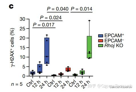 Nature|RHOJ控制EMT相关的化疗耐药性 - 知乎