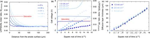 深入研究在高浓度电解质中锂金属在电沉积和溶解过程中的传质过程 - 知乎