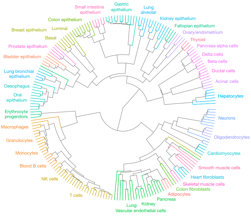 Nature｜最新人类细胞类型DNA甲基化图谱 - 知乎