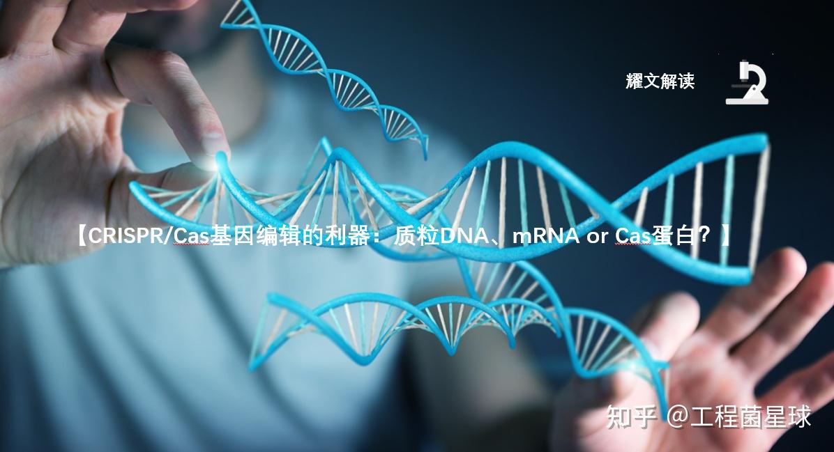 【耀文解读】CRISPR/Cas基因编辑的利器：质粒DNA, mRNA or Cas蛋白？ - 知乎