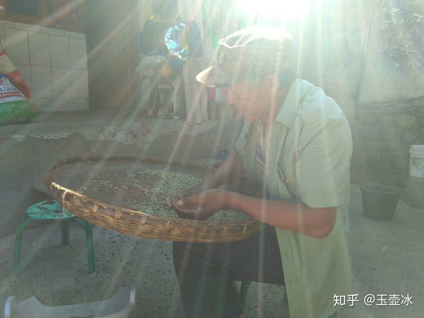 大理宾川县朱苦拉村---小粒咖啡的起源地 - 知乎