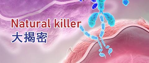 293T细胞到底该怎么养啊！? - 知乎