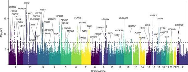 🤣 CMplot | 完美复刻Nature上的曼哈顿图（一） - 知乎