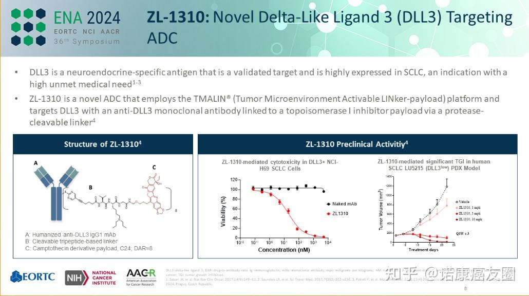 小细胞肺癌最强新药ZL-1310（DLL3 ADC）开启招募，数据超越塔拉妥单抗，脑部控制率100%，标准治疗耐药后均可参加 - 知乎